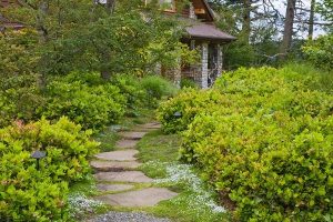 46+ Easy & Cheap Garden Path Ideas For Your Beautiful Garden