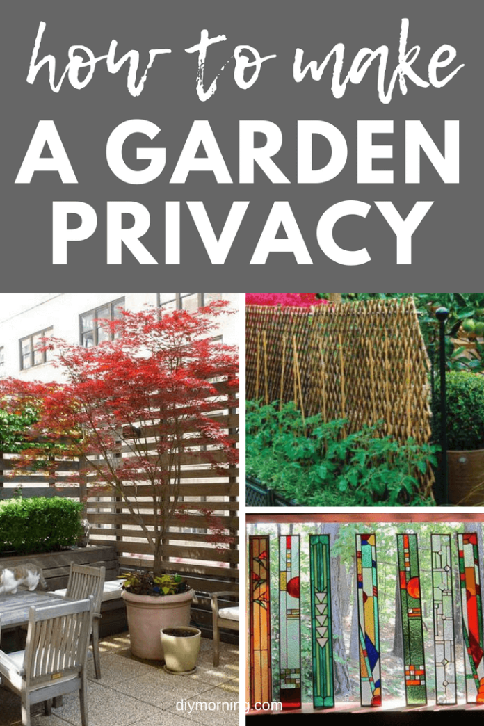 15+ Quick and Cheap Outdoor Privacy Screen Ideas and Designs