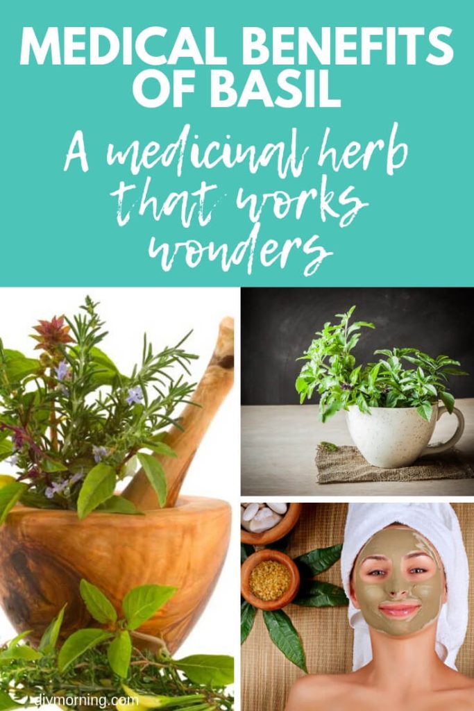 4 Best Medical Benefits of Basil: A Medicinal Herb that Works Wonders