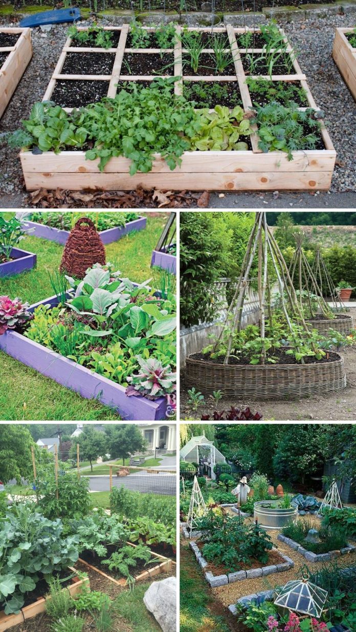 21+ Brilliant & Cheap Garden Edging Ideas With Pictures For 2026