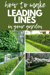 How to Make Leading Lines In Your Garden - DIY Morning