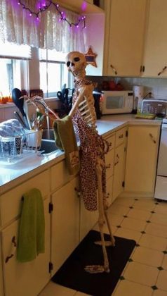 15+ Spooky Halloween Kitchen Ideas & Designs For 2025