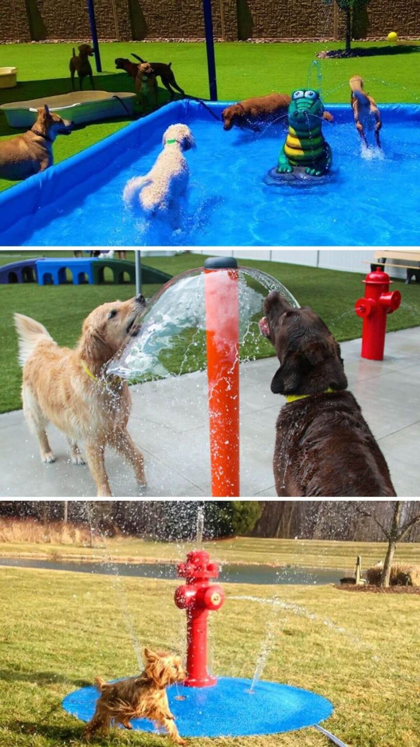 15 Backyard Landscaping Ideas That Will Give Your Dogs Happy Barks
