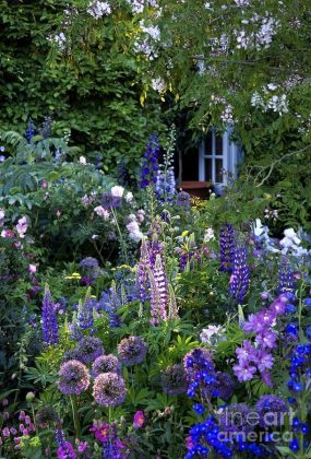 30+ English Garden Design Ideas Turn Your Backyard into A Charming Oasis