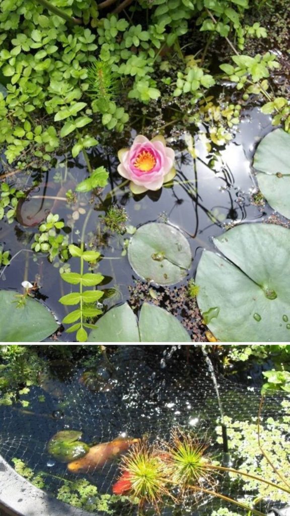 How To Build A Garden Pond: Here are 35+ Beautiful Backyard Pond Ideas
