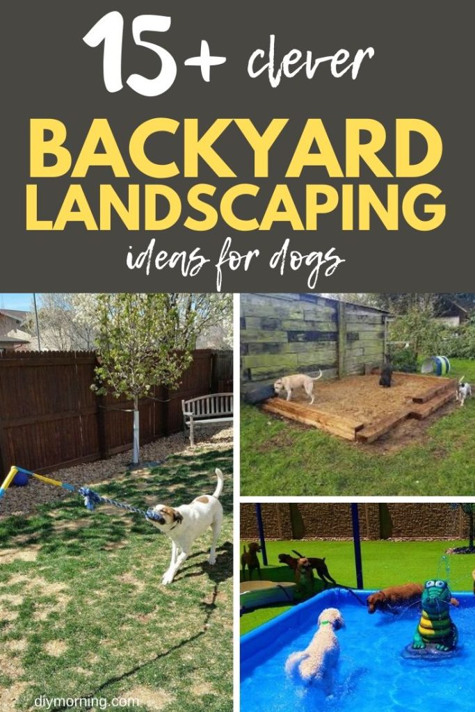 15 Backyard Landscaping Ideas That Will Give Your Dogs Happy Barks
