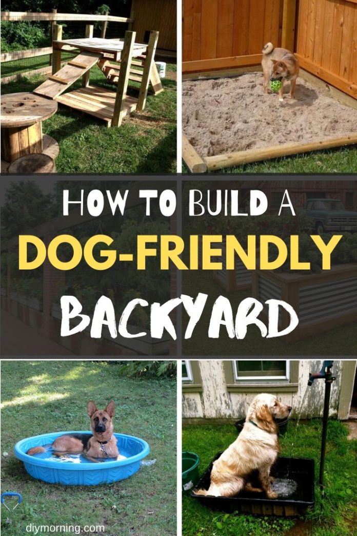 15 Backyard Landscaping Ideas That Will Give Your Dogs Happy Barks