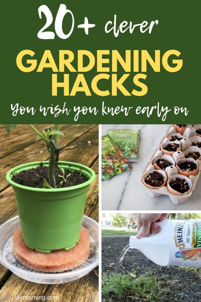 20+ Brilliant DIY Gardening Hacks You Wish You Knew Early On