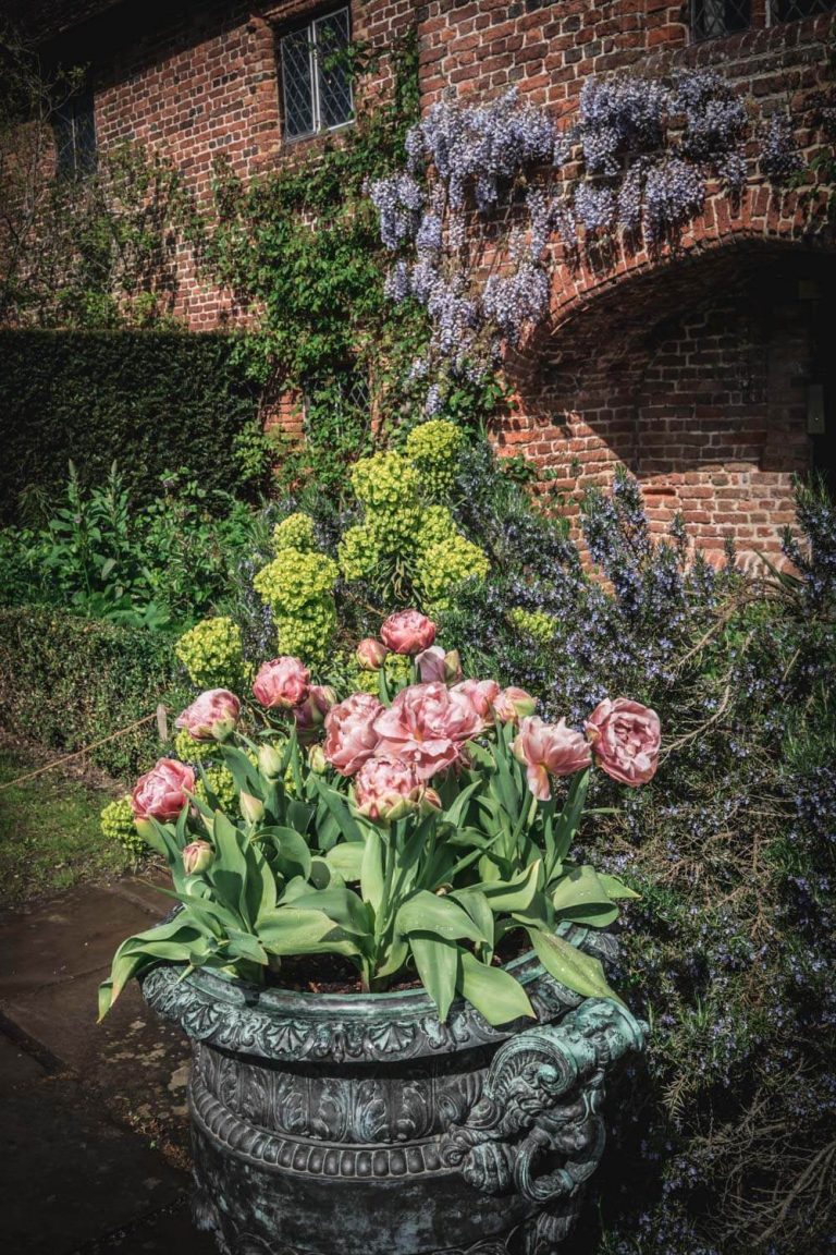 21+ Stunning Gardening Sissinghurst Styles: Bringing Carefree ...