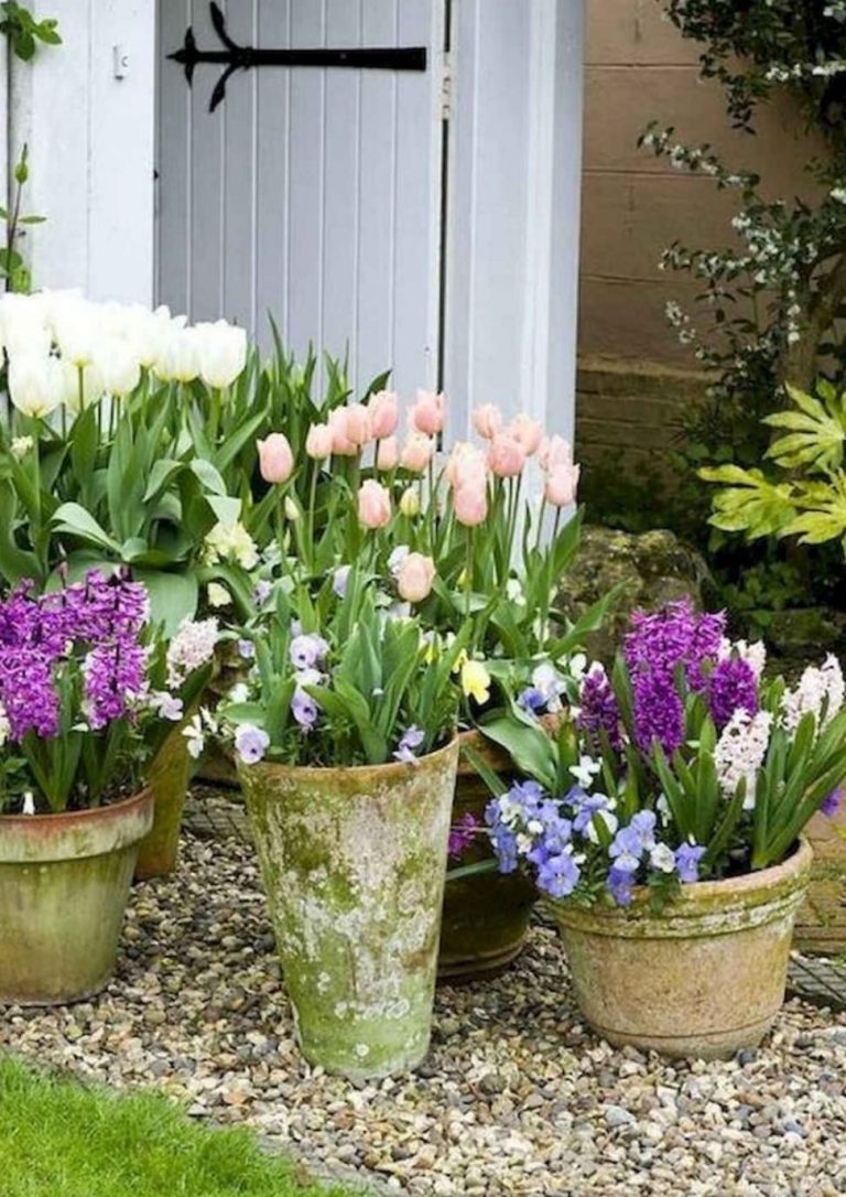 50+ Charming Cottage Style Garden Ideas and Designs For Landscaping